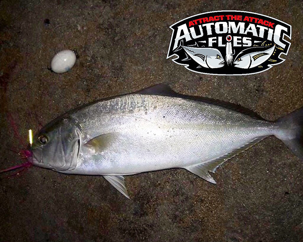 Kimosabe – Automatic Flies